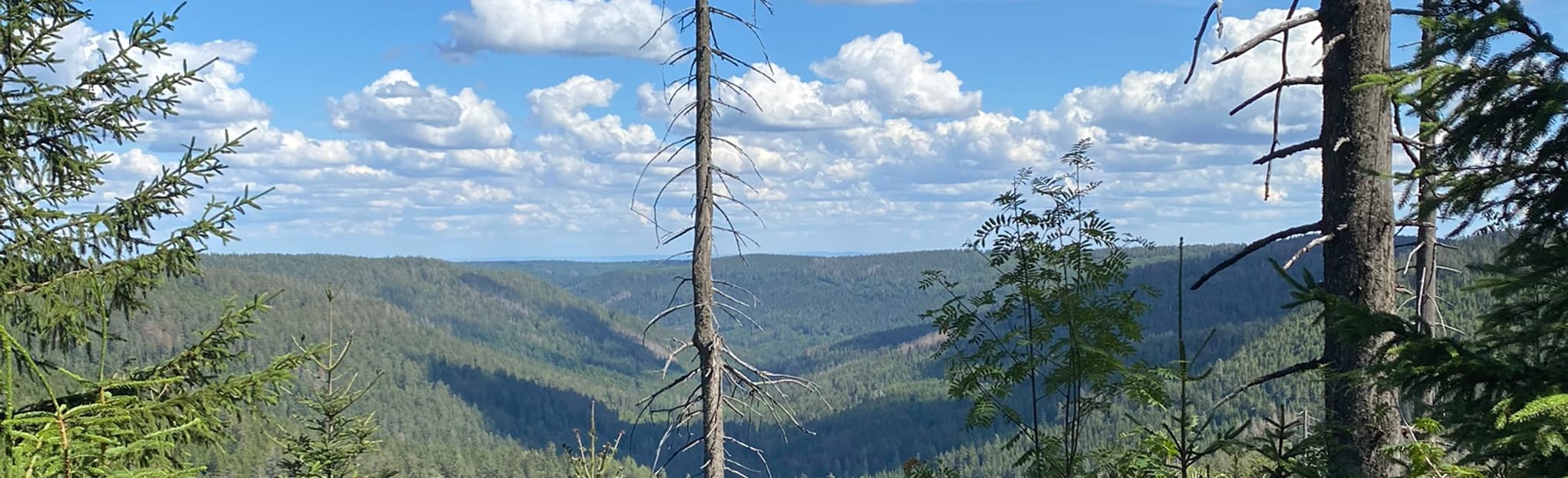 Ruhestein - Lake Wildsee, Baden-Wuerttemberg, Germany - 60 Reviews, Map ...