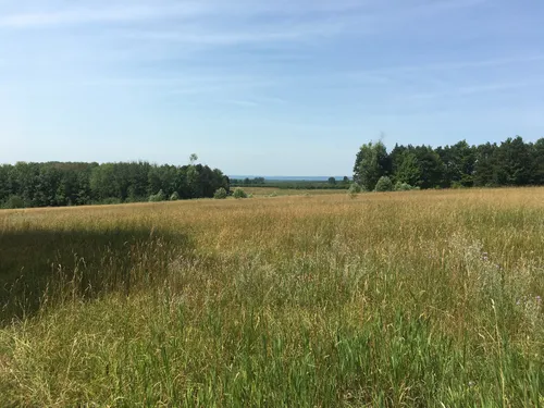 Best Hikes and Trails in Maplehurst Natural Area | AllTrails