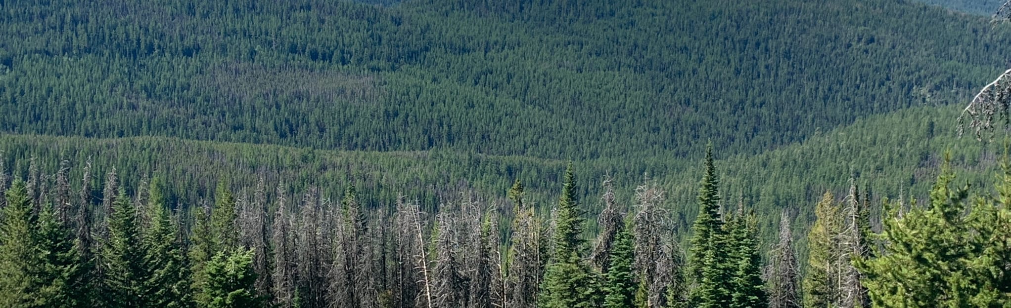 Marcus Trail to Copper Butte, Washington - 4 Reviews, Map | AllTrails