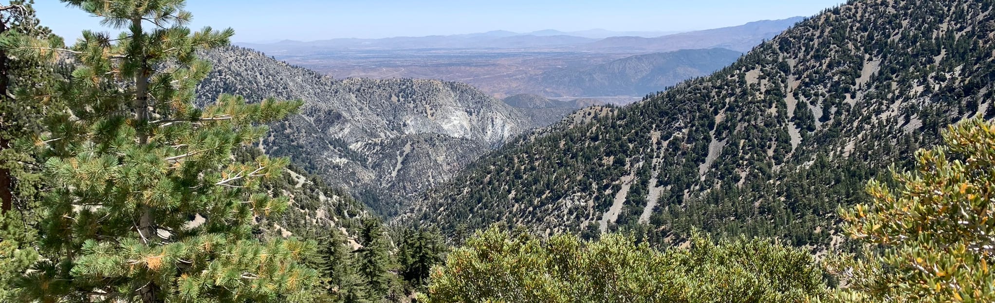Cucamonga Peak Via Icehouse Canyon and Chapman Trail: 405 Reviews, Map ...