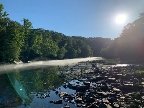 10 Best Trails and Hikes in Heber Springs | AllTrails