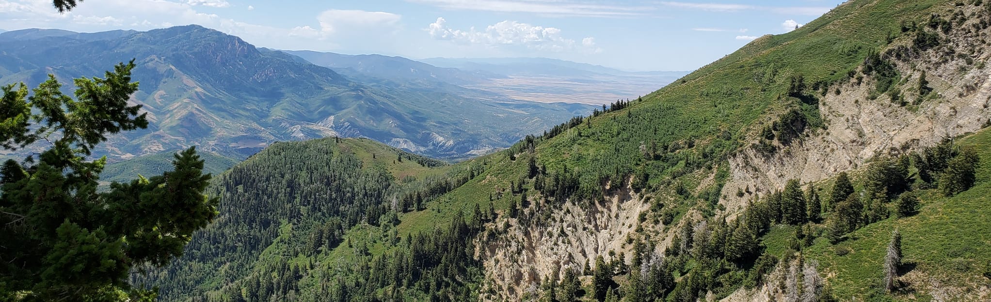 AllTrails | Andrew's Ridge to Mt. Nebo (South Peak): 29 Reviews, Map - Utah