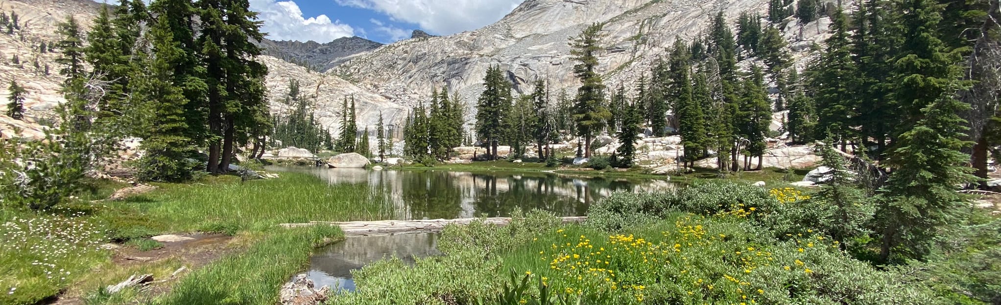 Lyons Lake and Lake Sylvia via Lyons Creek Trail: 560 Reviews, Map ...