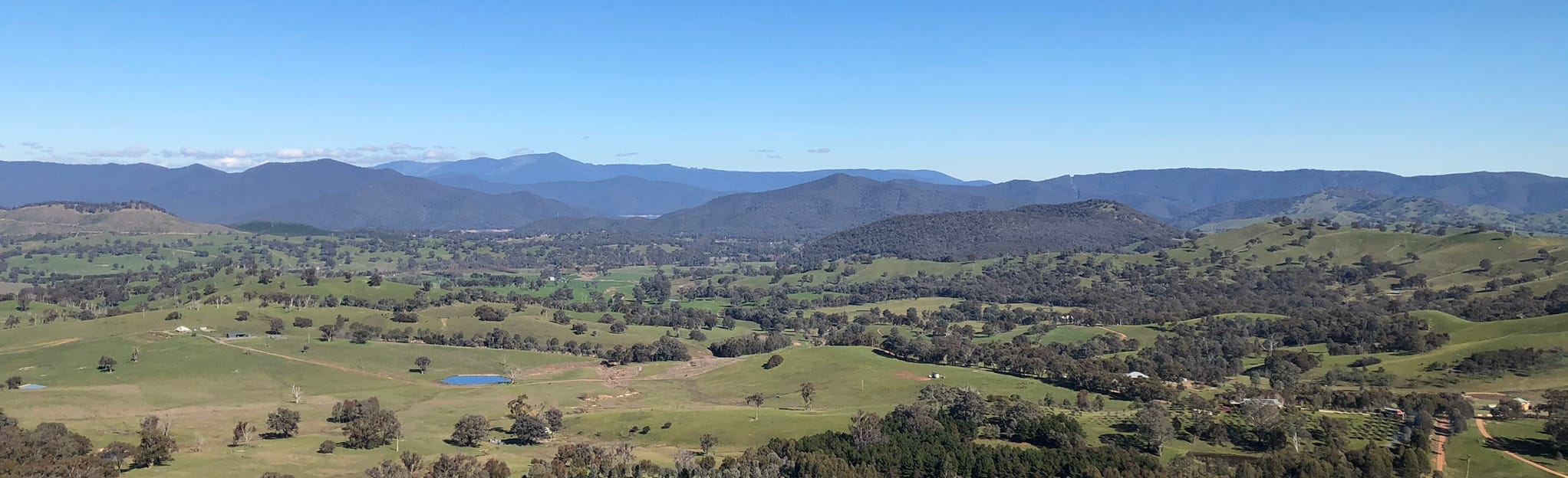 Mansfield Ridge Walk, Victoria, Australia - 18 Reviews, Map | AllTrails