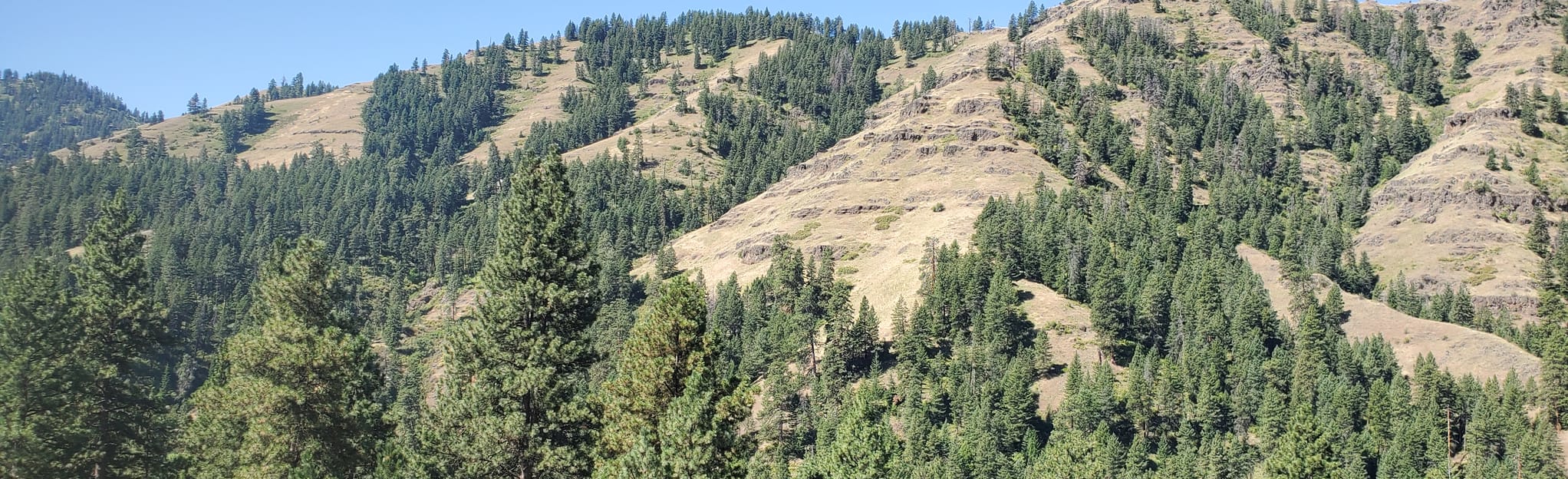 Hells Canyon Loop: Freezeout Saddle to Marks Cabin - Oregon | AllTrails