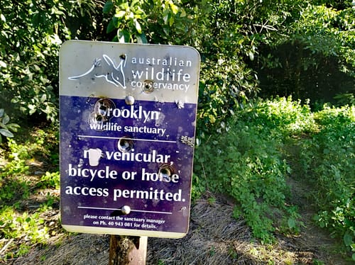 Best Hikes and Trails in Mount Lewis National Park | AllTrails