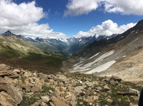 2023 Best Forest Trails in Ferden | AllTrails