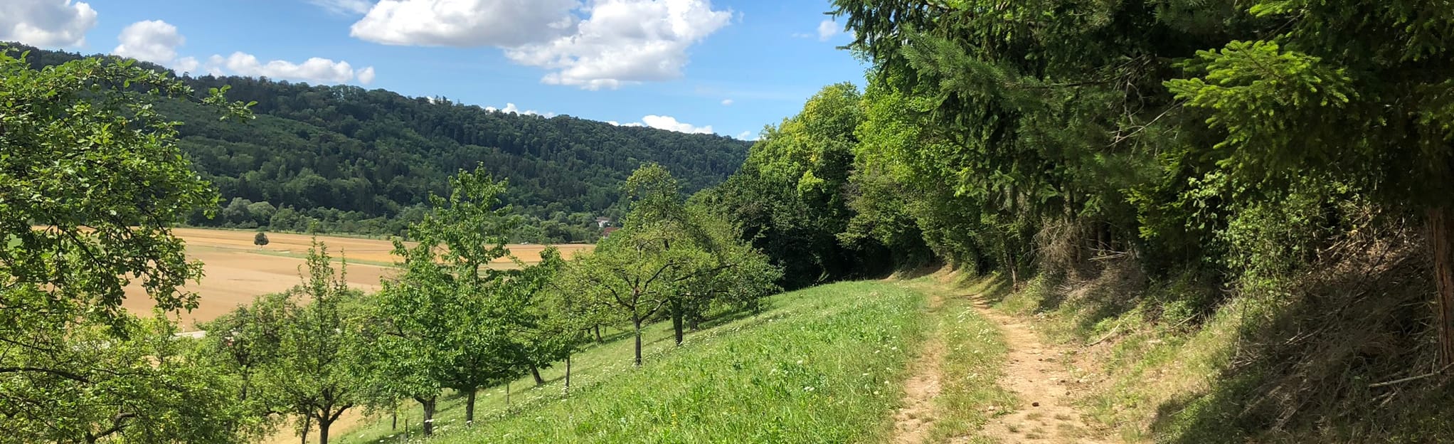 Weitenburg Castle from Bieringen, Baden-Wuerttemberg, Germany - 5 ...