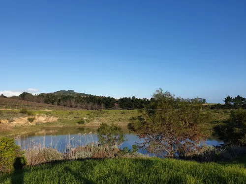 Best Hikes and Trails in Kuils River | AllTrails