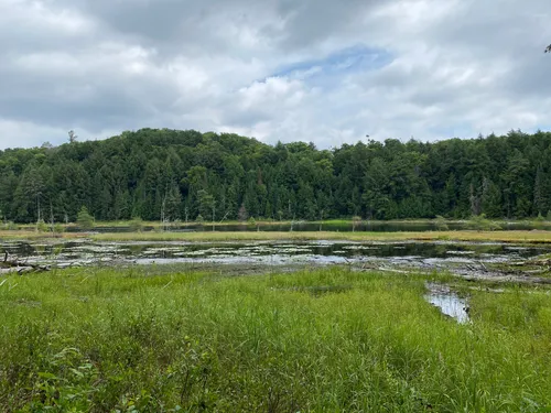 10 Best Hikes and Trails in Limberlost Forest and Wildlife Reserve ...