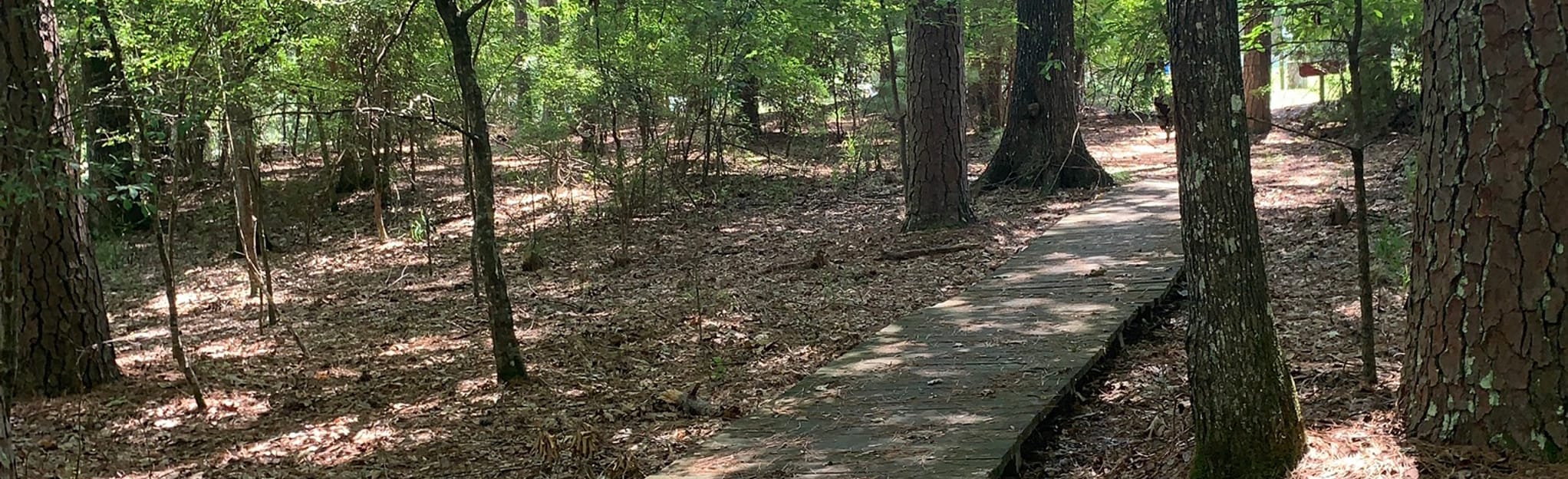 Moro Bay Deer Run Trail, Arkansas - 10 Reviews, Map | AllTrails