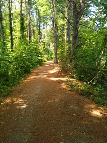 10 Best Hikes and Trails in Naugatuck State Forest | AllTrails