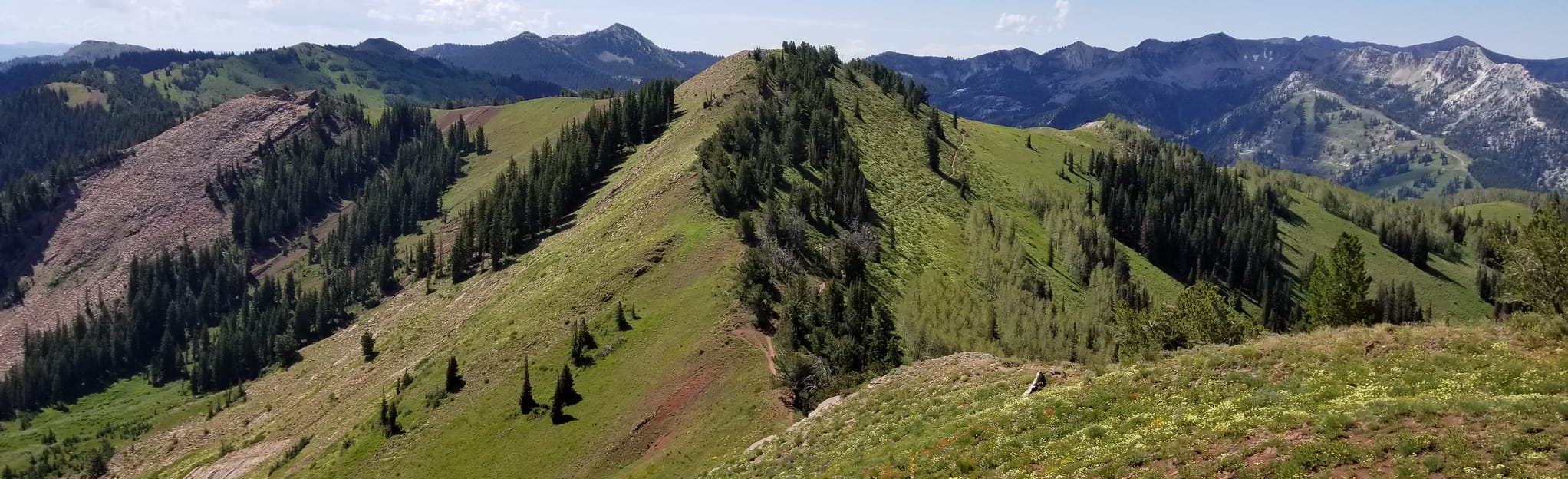 Desolation Peak via Tombstone to Fantasy Ridge Loop: 148 Reviews, Map ...