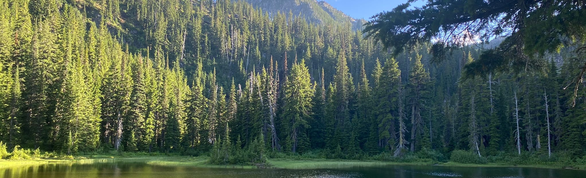 Wanless Lake: 40 Reviews, Map - Montana | AllTrails