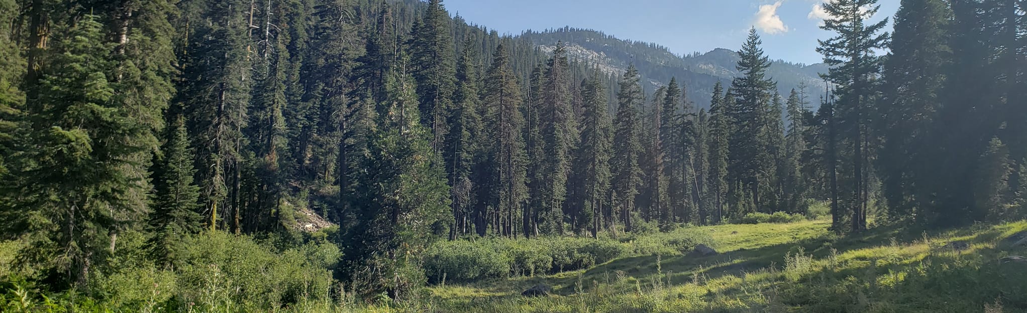 Granite Lake via Swift Creek Trail: 311 Reviews, Map - California ...
