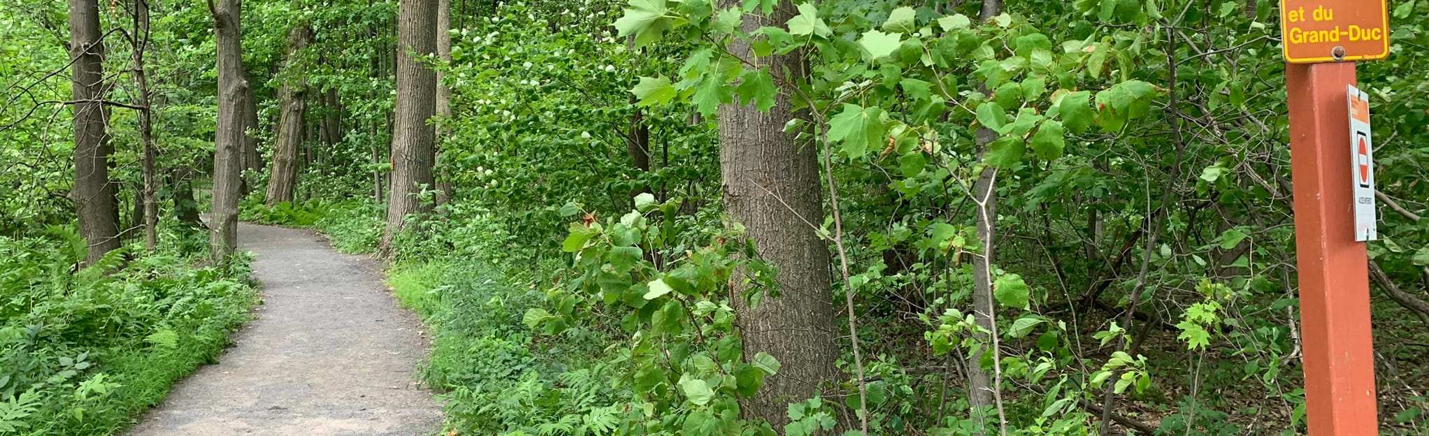 Grand Duke Loop: 330 Reviews, Map - Quebec, Canada | AllTrails