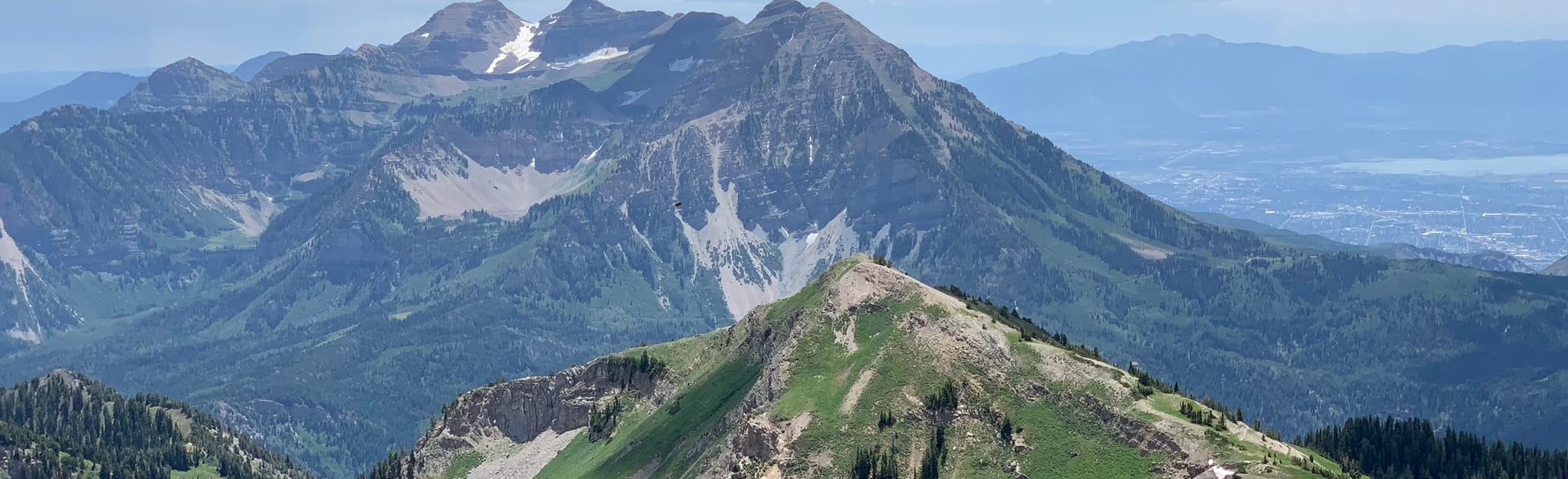 Box Elder Peak via Dry Creek Trail, Utah - 79 Reviews, Map | AllTrails