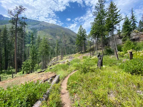 Best 10 Hikes and Trails in Bitterroot National Forest | AllTrails