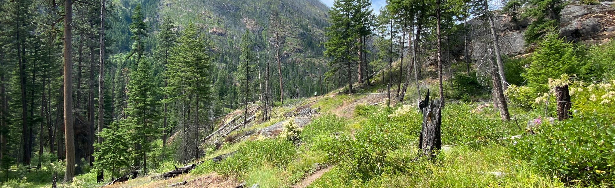 North Kootenai Lake Via Kootenai Creek Trail, Montana - 361 Reviews ...