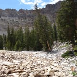 Baker Lake Trail, Nevada - 145 Reviews, Map | AllTrails