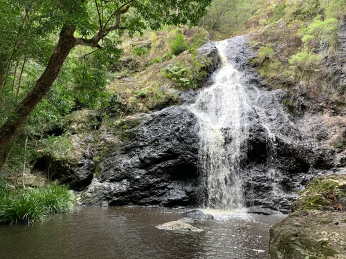 10 Best Hikes and Trails in Mapleton Falls National Park | AllTrails