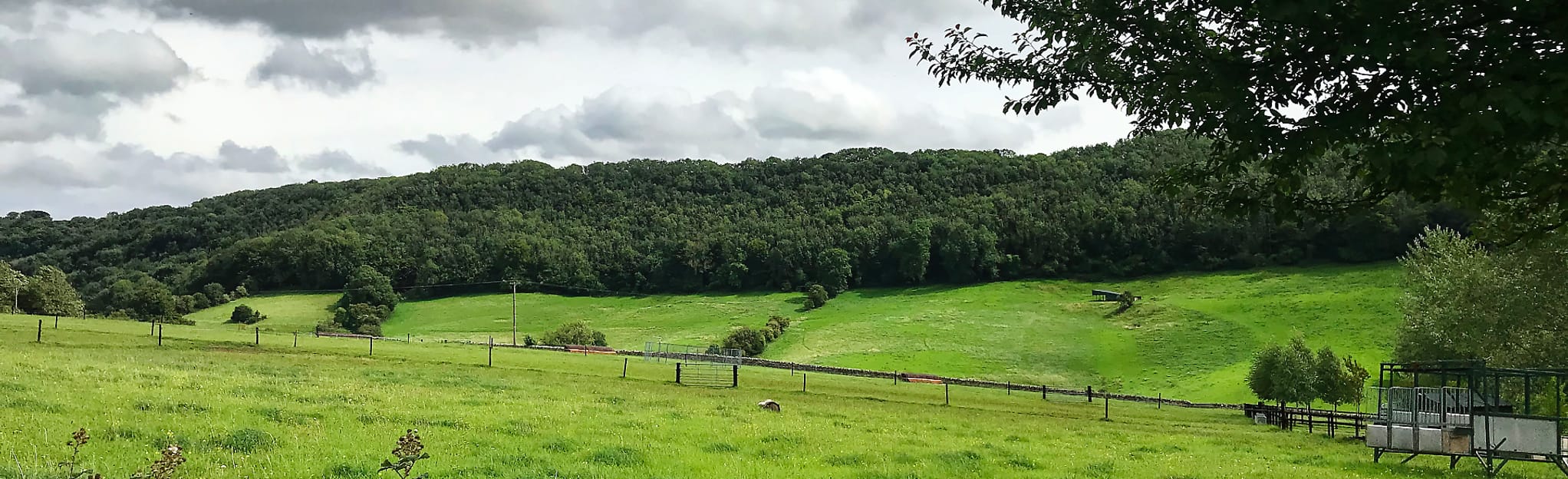Walking with Rosie in the Slad Valley: 267 foto - Gloucestershire ...
