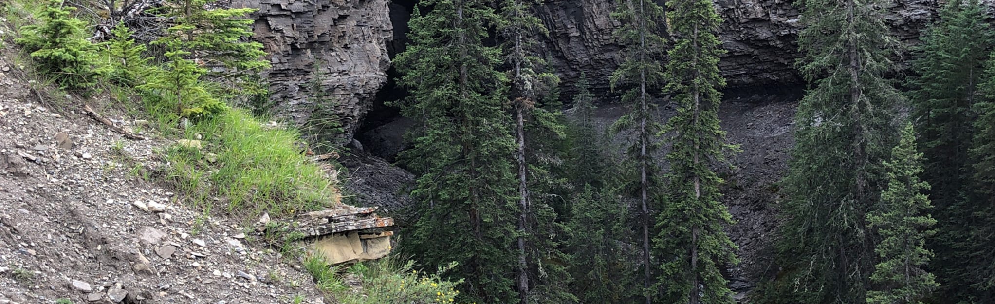 Hidden Falls Ya Ha Tinda: 27 foto's - Alberta, Canada | AllTrails