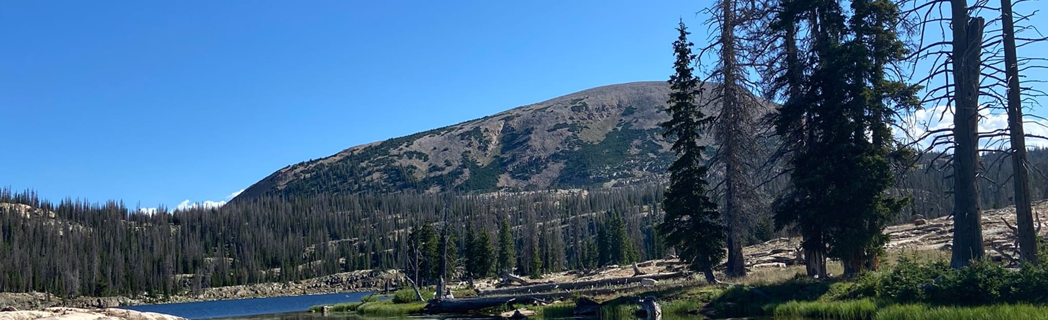 Long Lake Trail: 237 Reviews, 350 Photos, Map - Utah | AllTrails