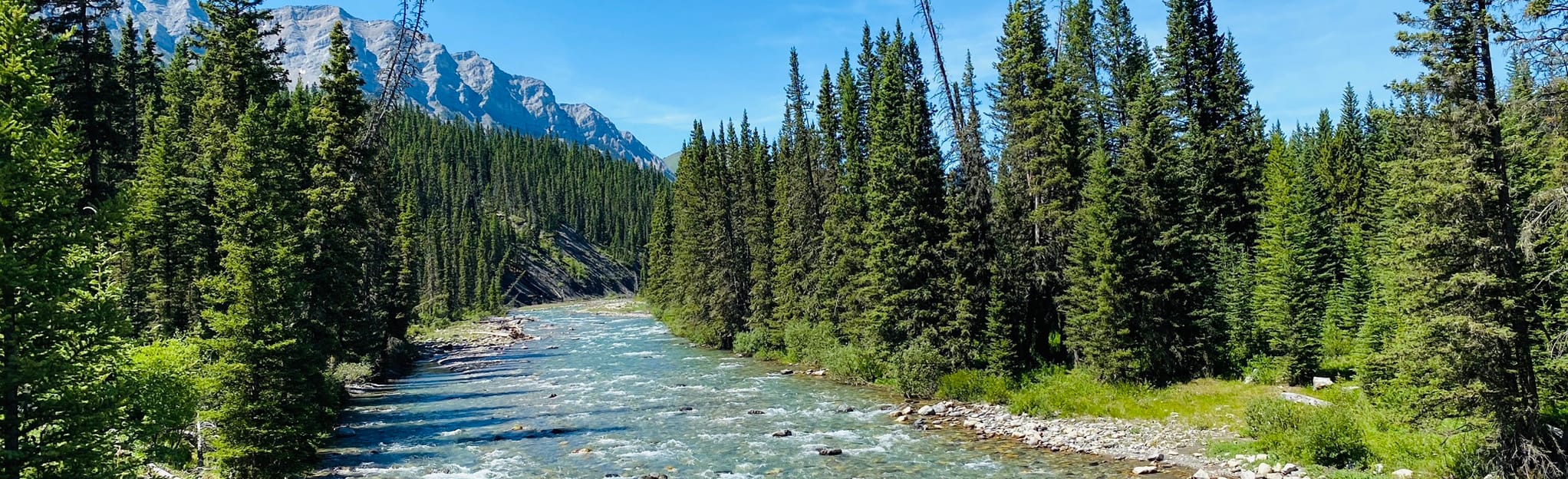 Forty Mile Creek - Sawback Creek - Cascade River Trail: 5 Reviews, Map ...