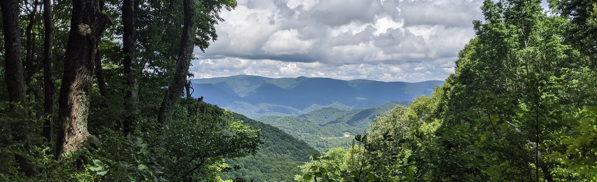 Appalachian Trail: Sam’s Gap to Big Bald: 813 Reviews, Map - North Carolina | AllTrails