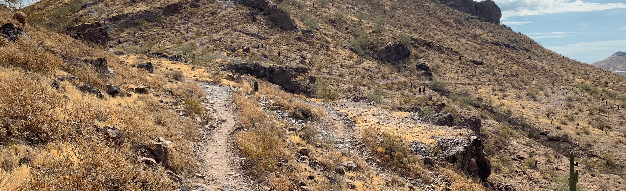 Lookout Mountain Circumference Trail | Mappa, Guida - Arizona | AllTrails