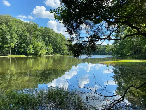 Best Hikes and Trails in High Point | AllTrails