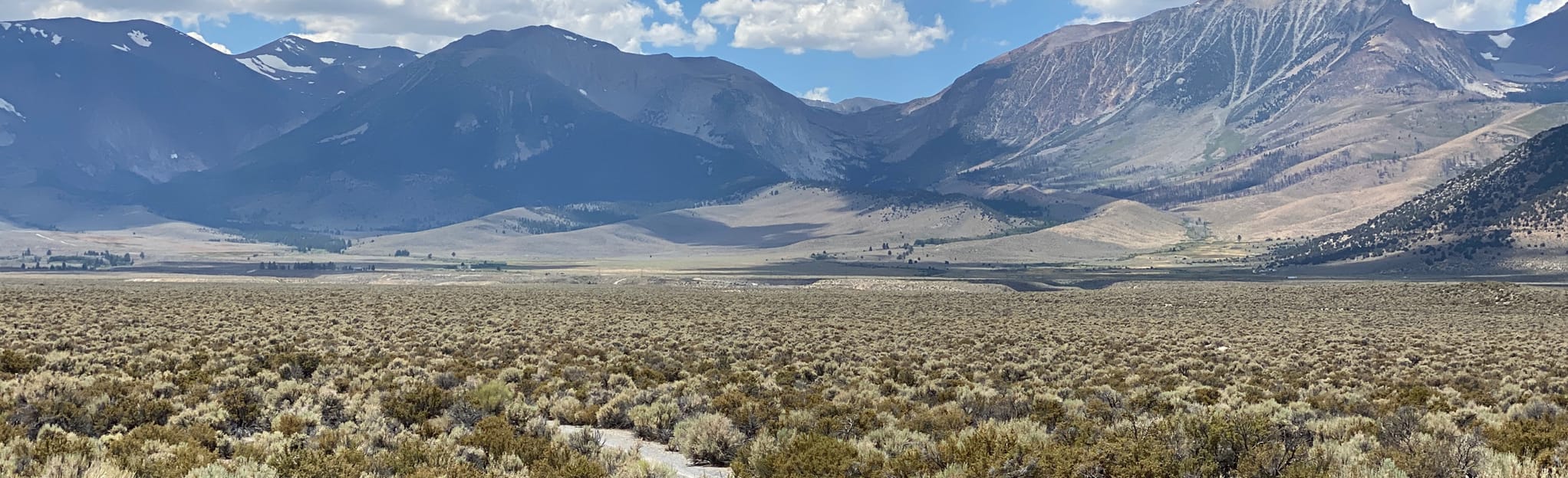 Panum Crater Trail: 312 foto - California | AllTrails