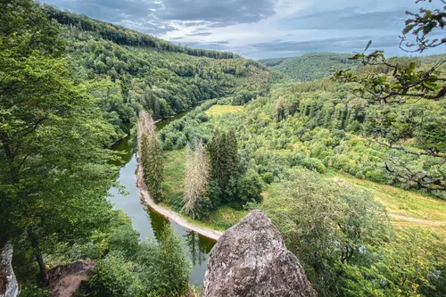 Best Wild Flowers Trails in Semois Valley National Park | AllTrails