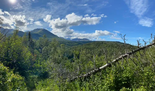 Best Hikes and Trails in Basher Park | AllTrails