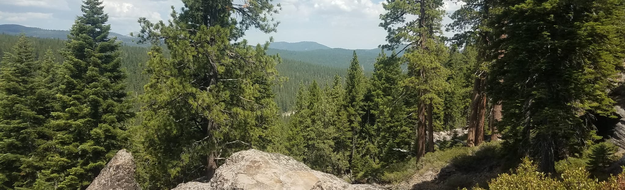 Little Chief via Sawtooth and Bald Mountain Motorcycle Loop: 23 Reviews ...