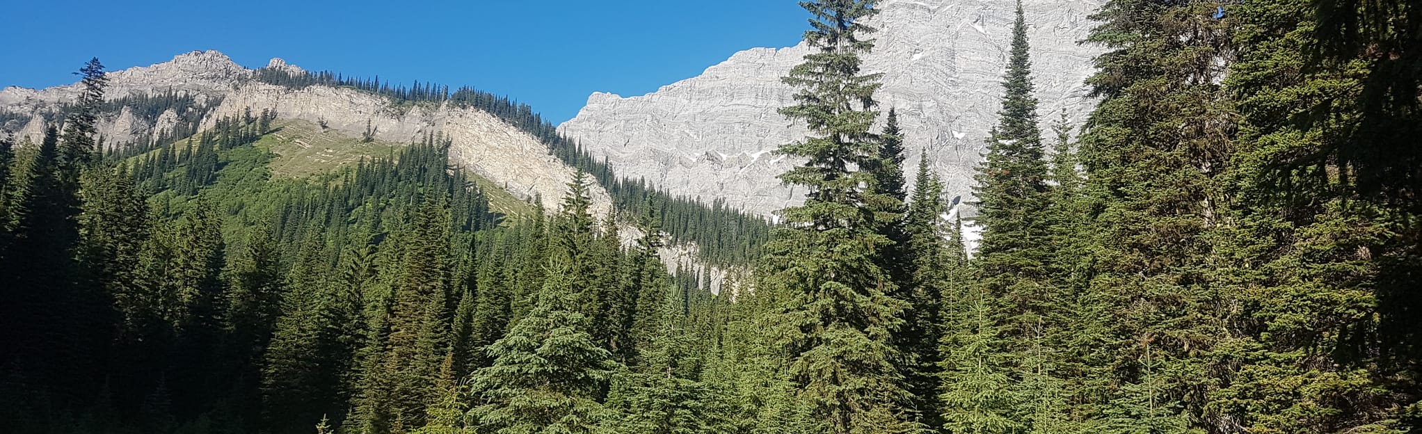 Bisaro Cave via Heiko's Trail: 42 Reviews, Map - British Columbia ...