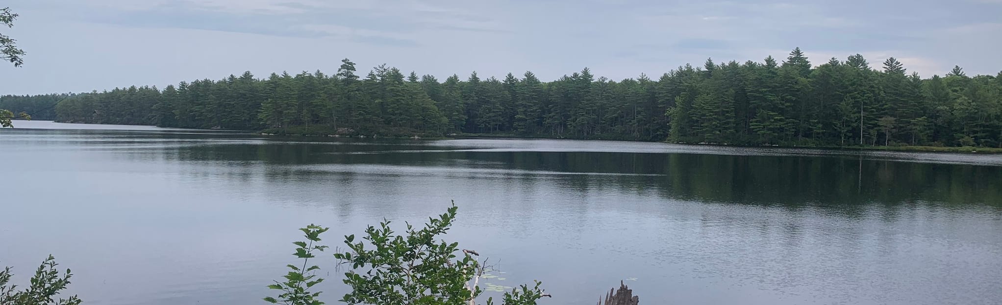 Little Dyer Pond Trail , Maine - 75 Reviews, Map | AllTrails