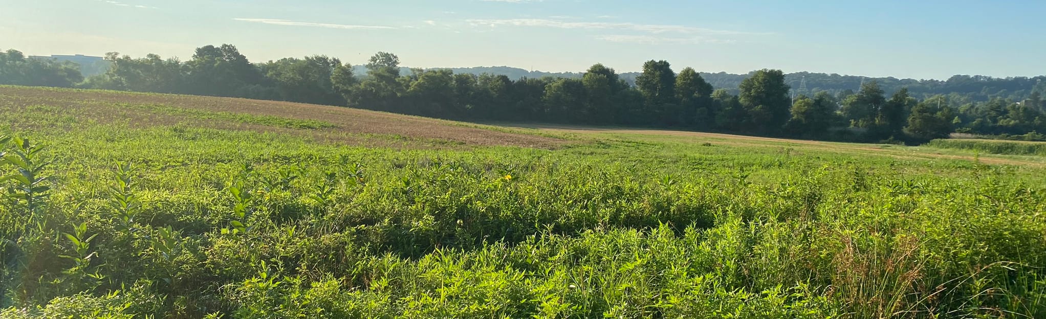 Exton Park Loop, Pennsylvania - 133 Reviews, Map | AllTrails