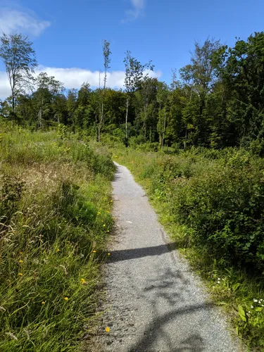 10 Best Trails and Hikes in County Limerick | AllTrails