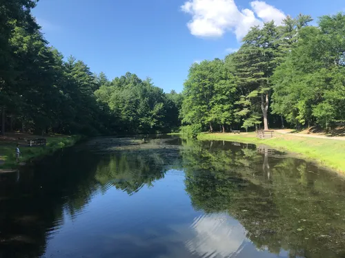 10 Best Rails Trails in Connecticut | AllTrails