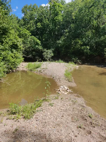 Best Hikes and Trails in Sycamore State Park | AllTrails