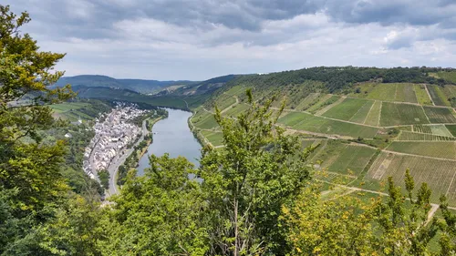 Best Hikes and Trails in Briedel | AllTrails