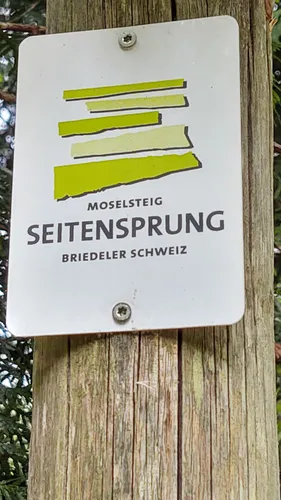 Best Hikes and Trails in Briedel | AllTrails