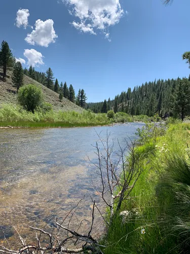 10 Best Hikes and Trails in Carson-Iceberg Wilderness | AllTrails