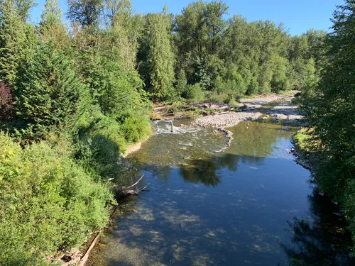 10 Best Trails and Hikes in Maple Valley | AllTrails