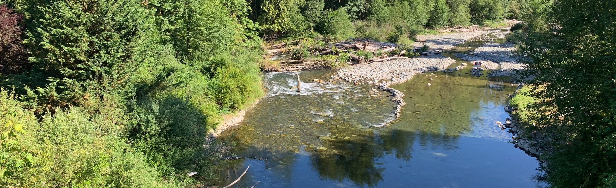 Cedar River Trail: Maple Valley to Landsburg, Washington - 250 Reviews ...