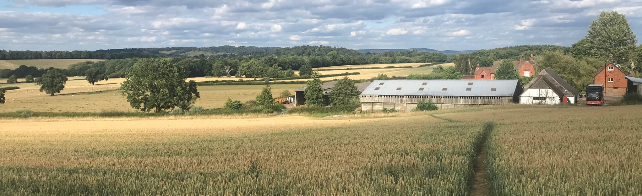 North Holmwood and Coldharbour Circular, Surrey, England - 33 Reviews ...