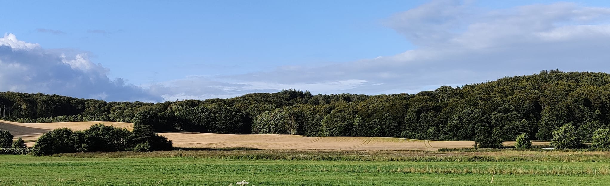 Illerup Ådal - Offermosen, Central Denmark Region, Denmark - 30 Reviews ...