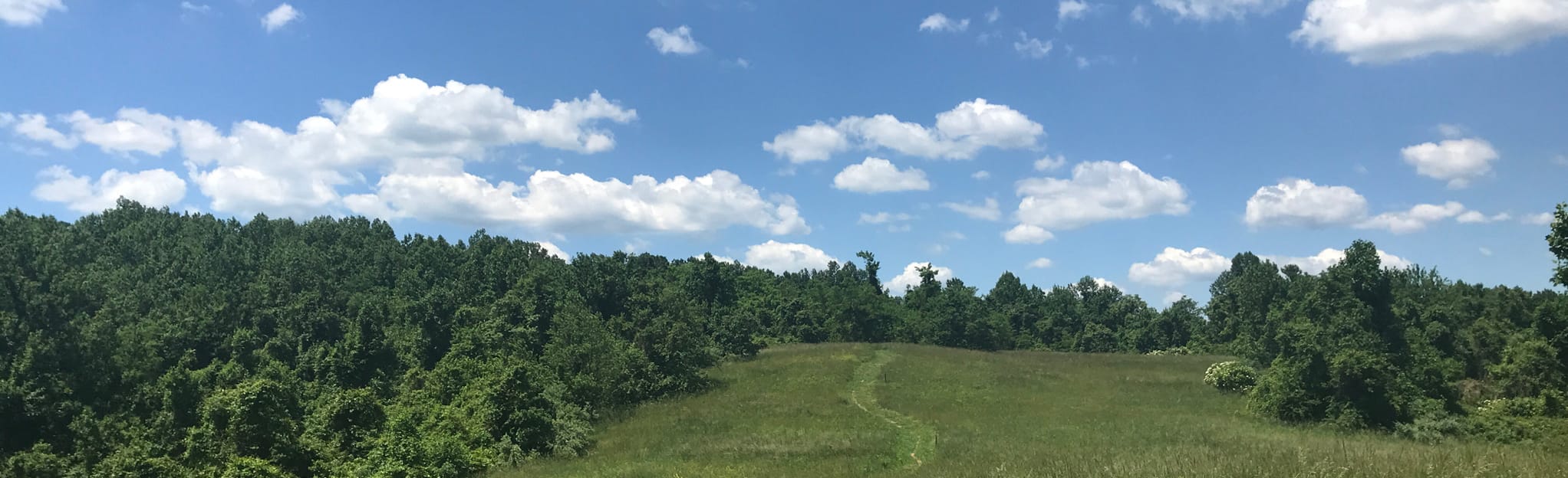 Appalachian Trail: Petersburg to Lake Front Royal: 179 Reviews, Map ...